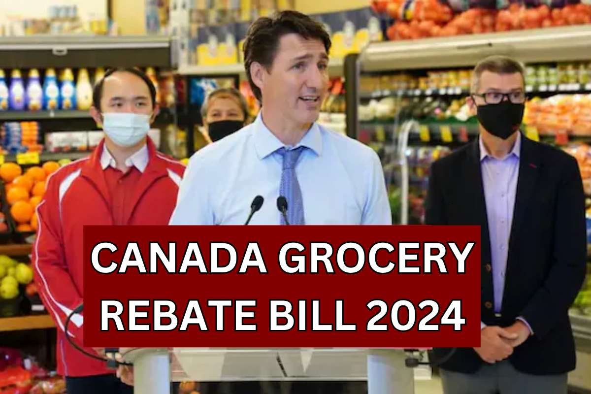 Canada Grocery Rebate Bill 2024 - $628 Grocery Rebate This Month By CRA